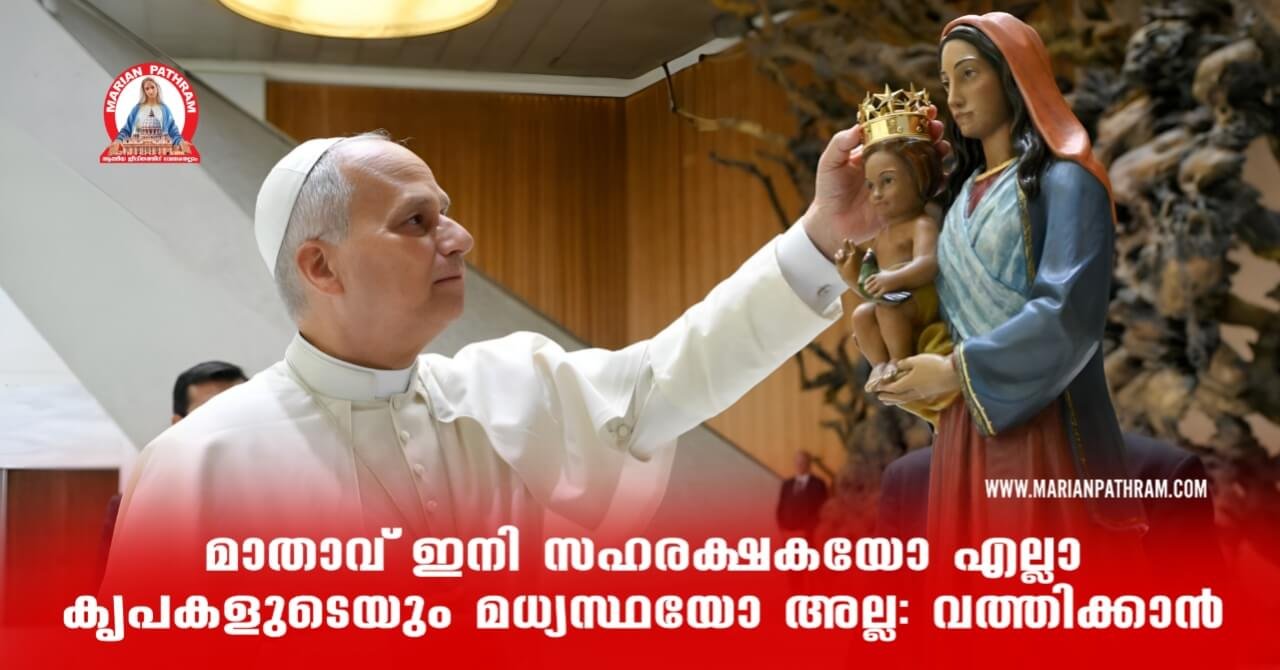 മാതാവ് ഇനി സഹരക്ഷകയോ എല്ലാ കൃപകളുടെയും മധ്യസ്ഥയോ അല്ല: വത്തിക്കാന് ...